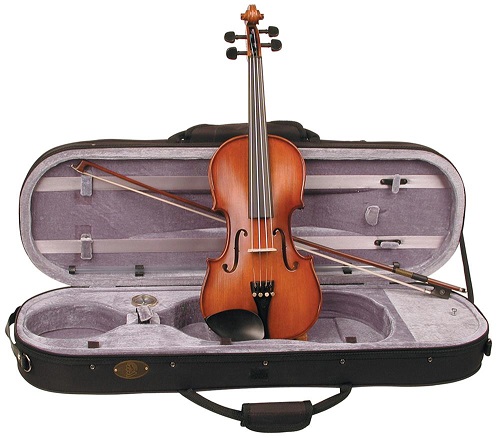 Stentor Violin