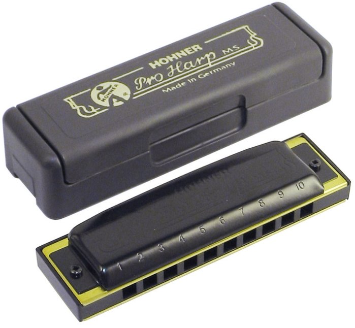 Hohner 10-hole diatonic harmonica | Wards Music